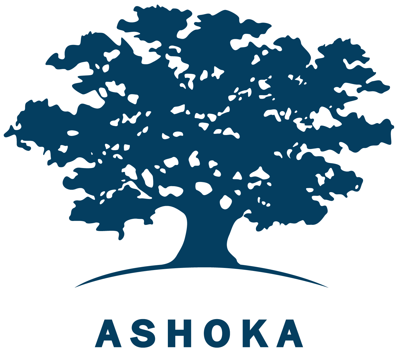 Young Africa | Funding Partners