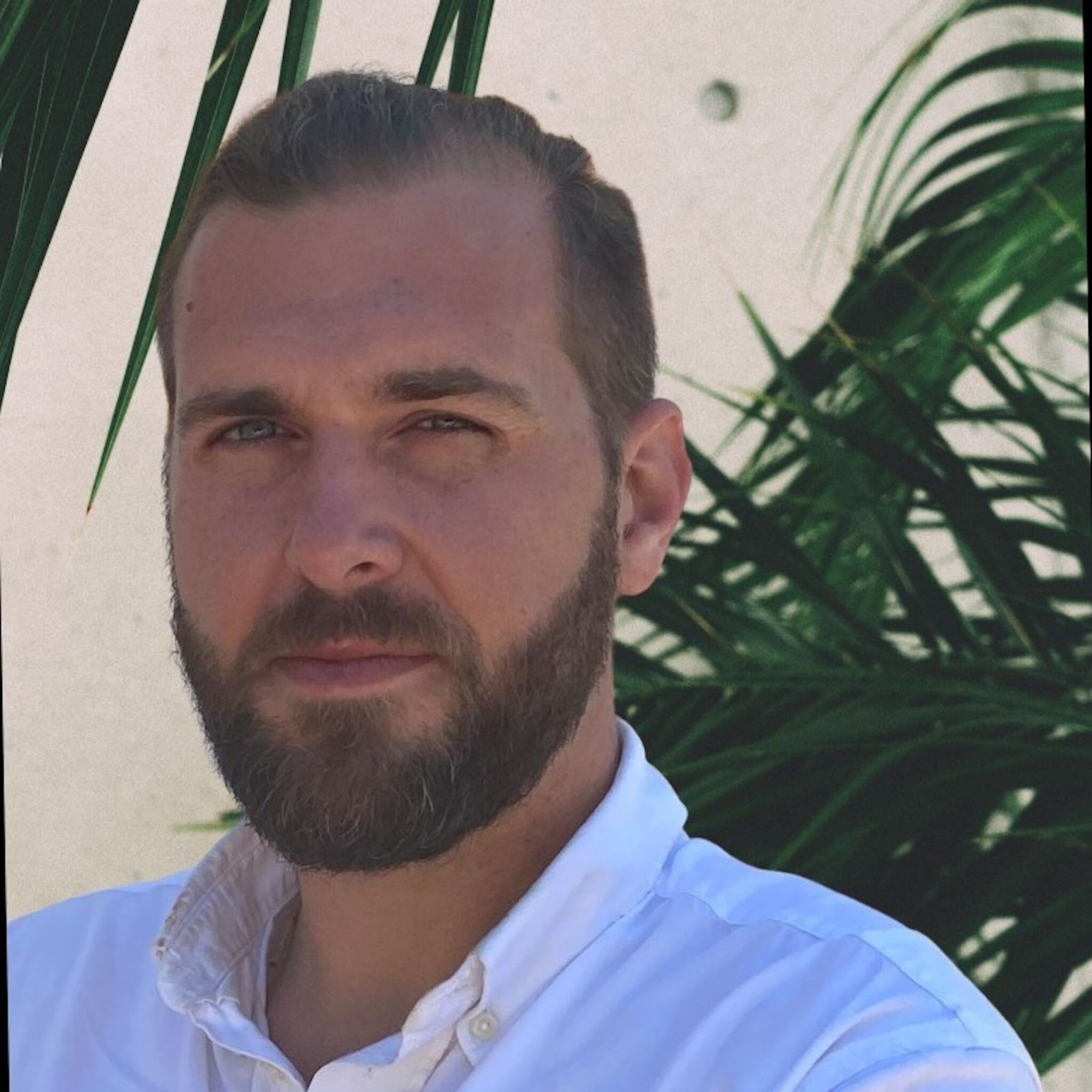 Young Africa | Programmes